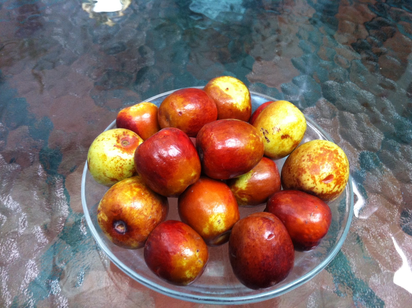 Pico a Viento: Azofaifas